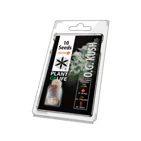 Og Kush Auto | 10 Sementes